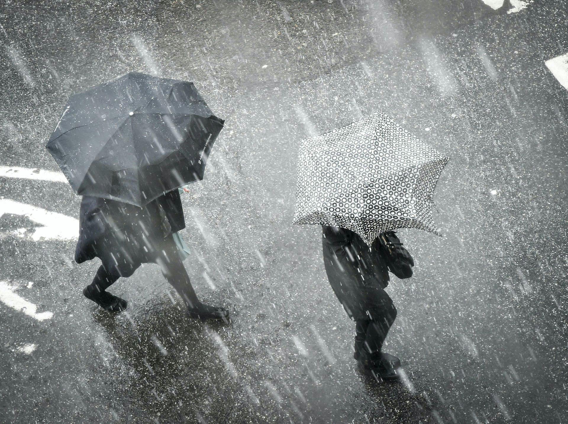 Massive mængder regn volder problemer: Forsikringsselskaber kimet ned ...